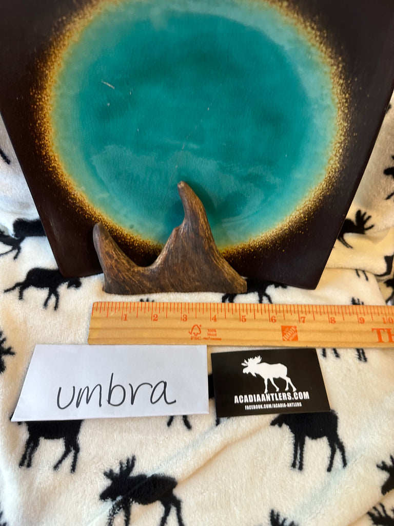 CROWN COLLECTION - MOOSE DROP – Acadia Antlers