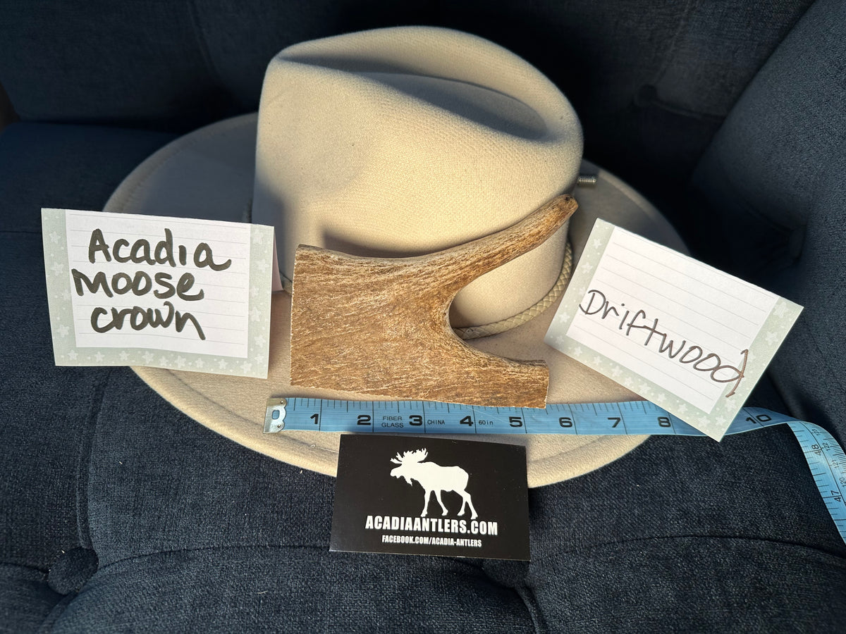 Acadia Antlers - DRIFTWOOD - Medium Crown Style Antler