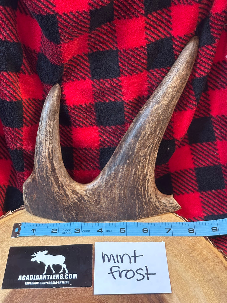 CROWN COLLECTION - MOOSE DROP – Acadia Antlers