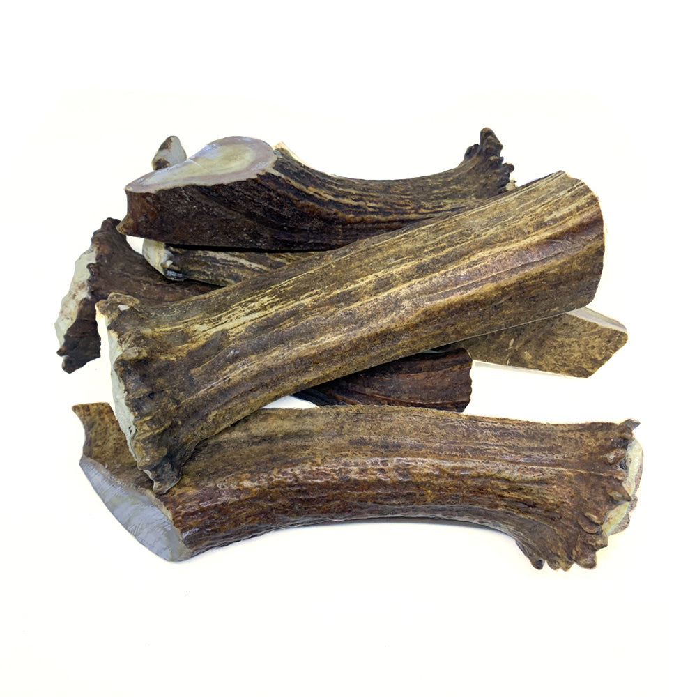 Acadia Powerhouse Split Moose Antler Dogs Chews for our furry friends ...
